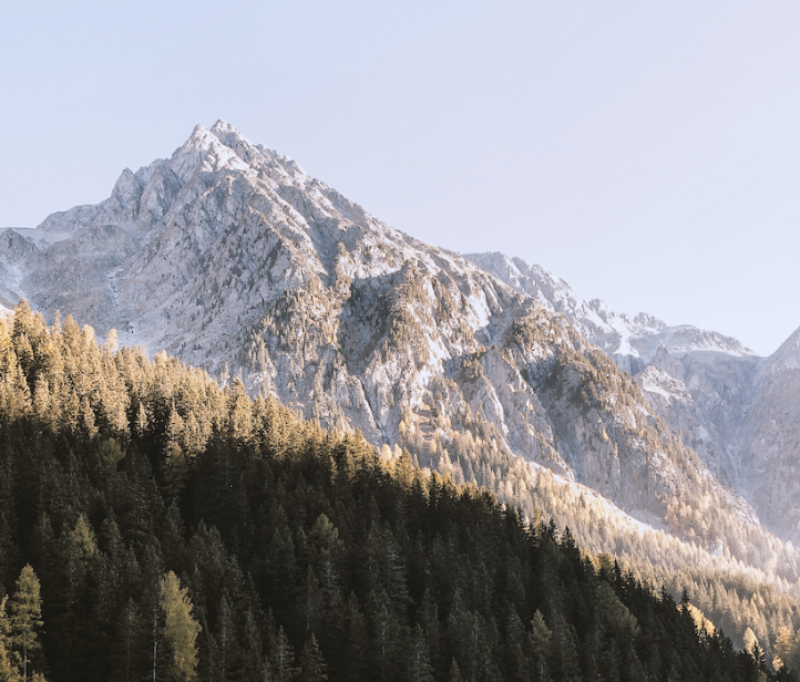 Home Page - Lookout Credit Union